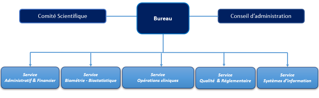 Organigramme - GORTEC - GROUPE ONCOLOGIE RADIOTHERAPIE TETE ET COU